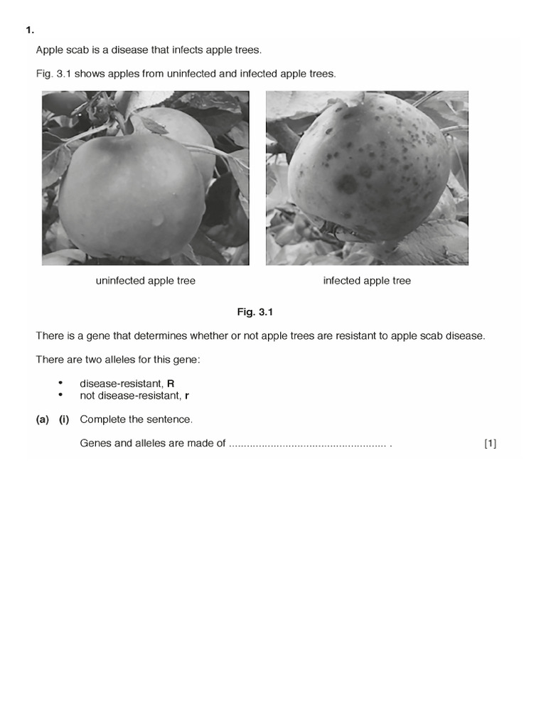 IGCSE BIO - Inheritance Paper 4 Compilation (2017-2009) | PDF