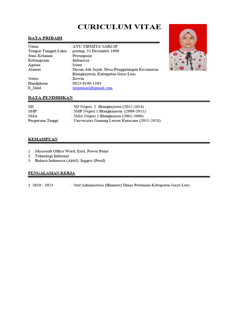 CV Ayu Tirmita Sari | PDF