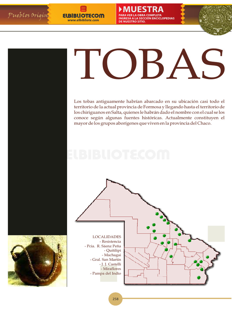 258 261 Aborigenes Tobas | PDF | Pueblos Indígenas de las Américas | Gente indígena