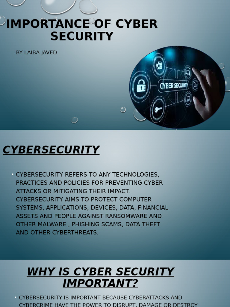 Importance of Cyber Security | PDF