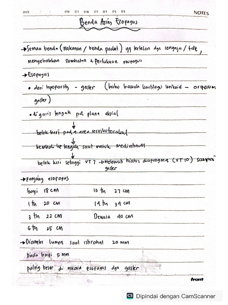 Esofagoskopi - Ayu | PDF