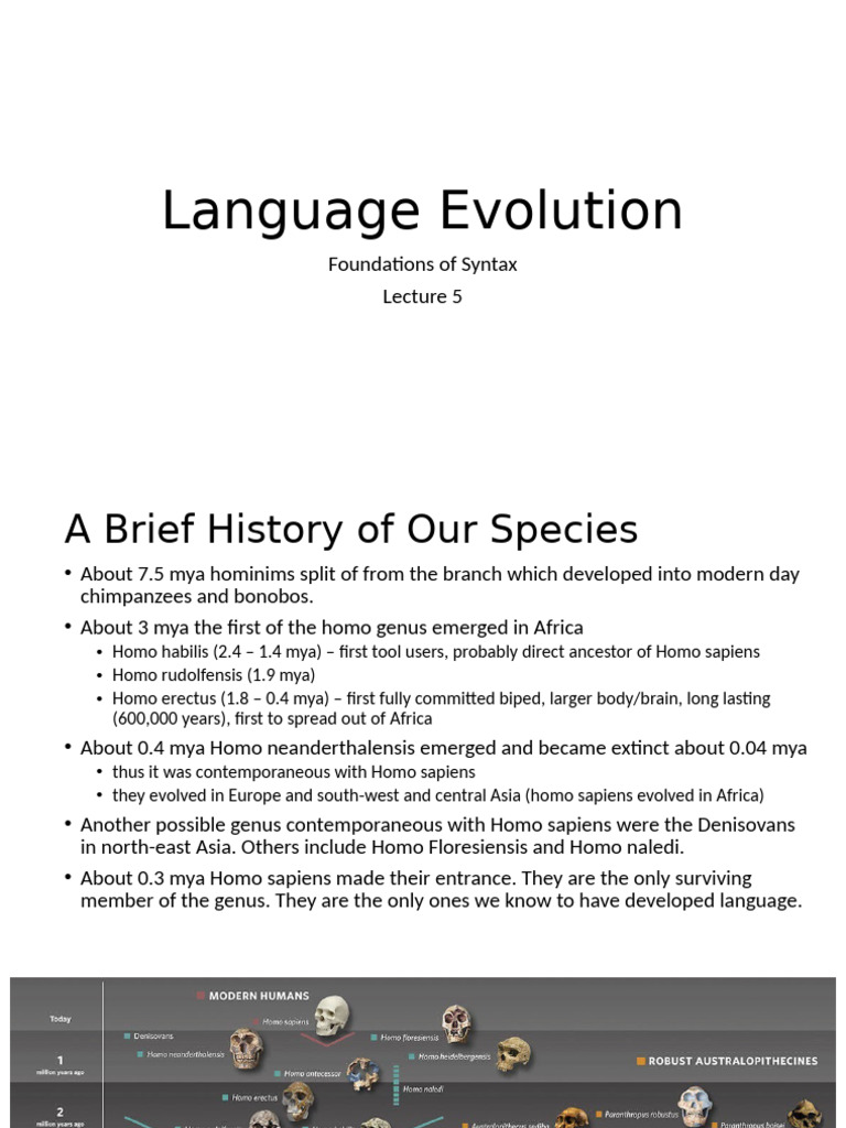 05 Language Evolution | PDF | Homo | Human Evolution