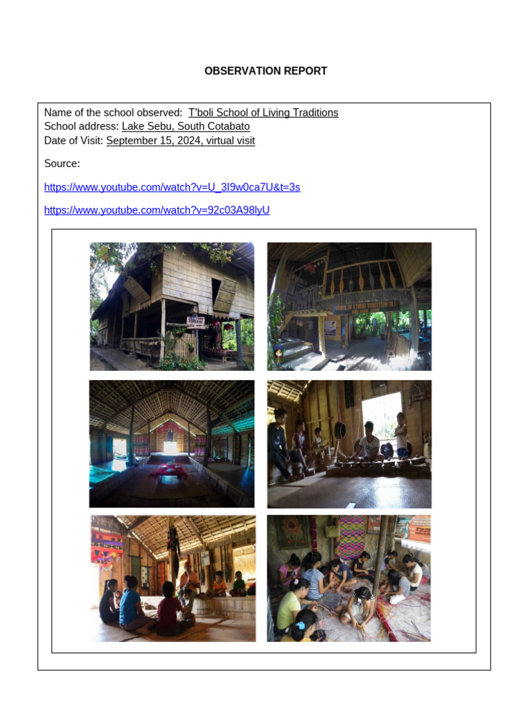 Indigenous Group - Observation Report | PDF | Curriculum | Learning