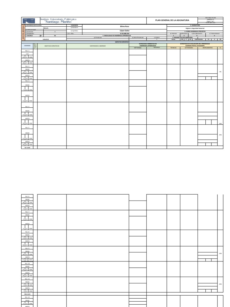PSM Plan General de HySI 2024-I Virtual Bilma Lopez | PDF | Seguridad y ...