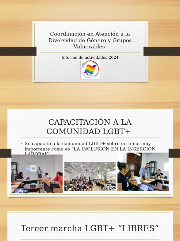 Informe Coordinación LGBT 2024 | PDF