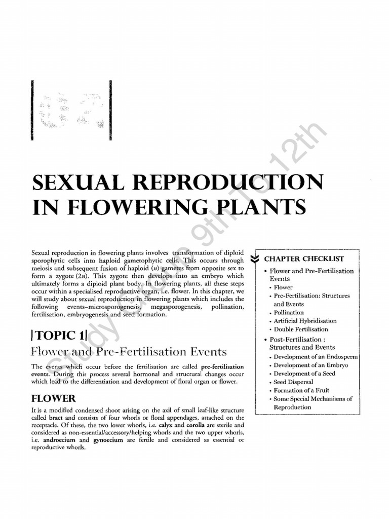All in One Arihant Reproduction | PDF