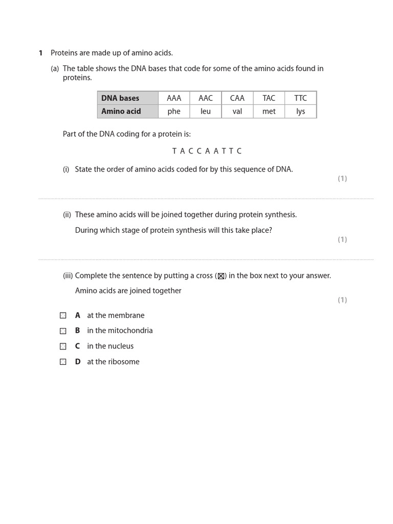 DNA & Protein Synthesis 2 QP | PDF | Dominance (Genetics) | Nucleic ...