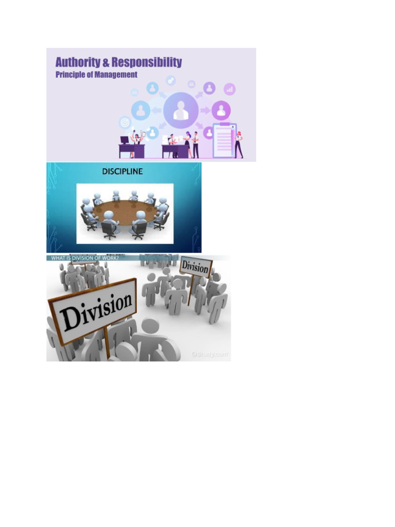 Class 12 BST Project | PDF