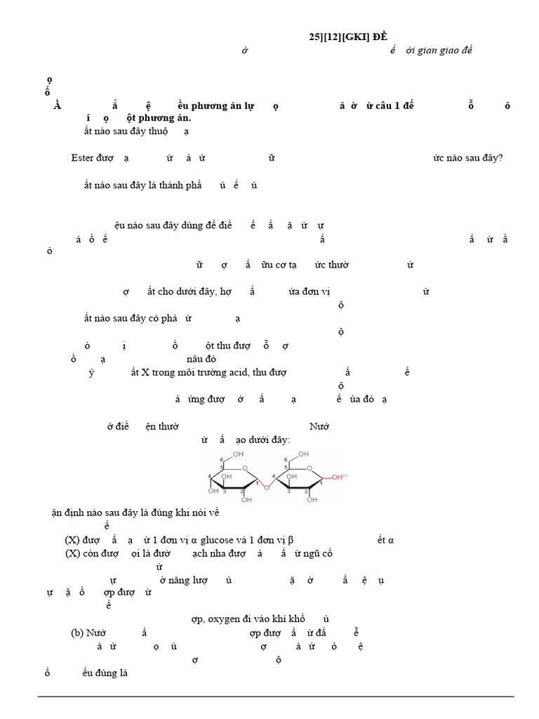 (24-25) (12) (Gki) de On 3 | PDF