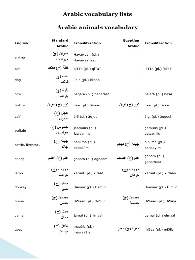 Arabic Vocabulary Lists | PDF