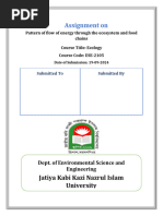 4th Grade Dibels Next | PDF | Rainbow | Pickled Cucumber