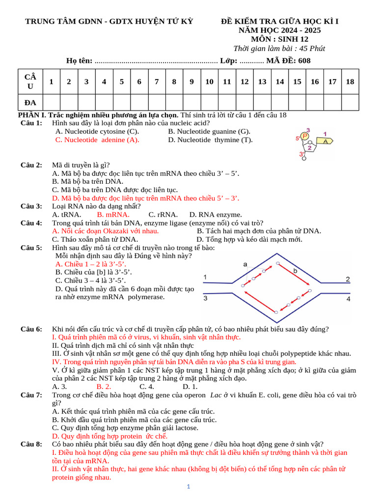 12 - - ĐỀ MINH HỌA 2 - - KTGK1 - - SH12 - - ĐỀ 01 | PDF