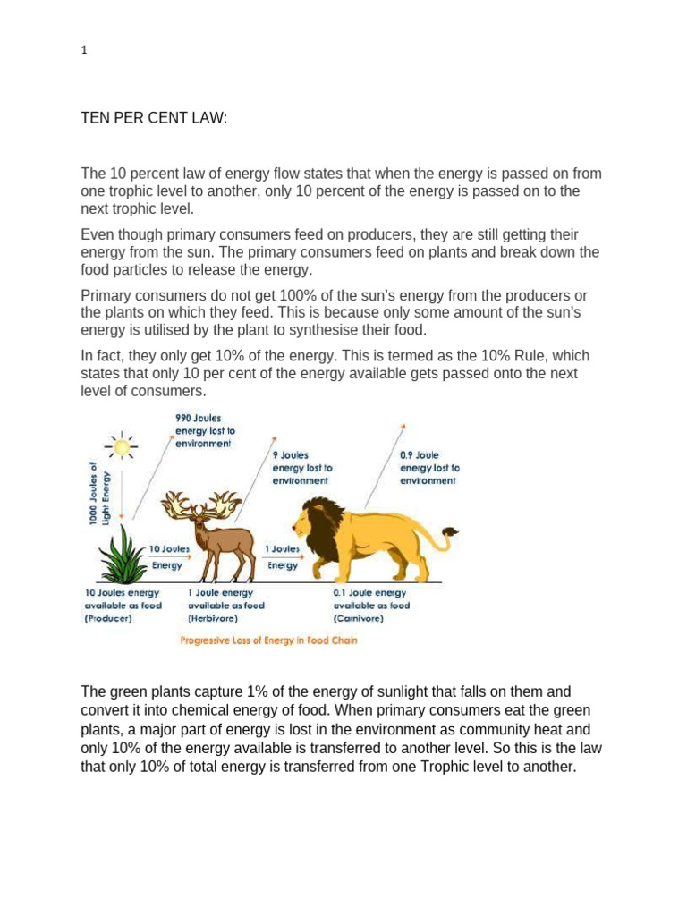 10 Percent Law | PDF