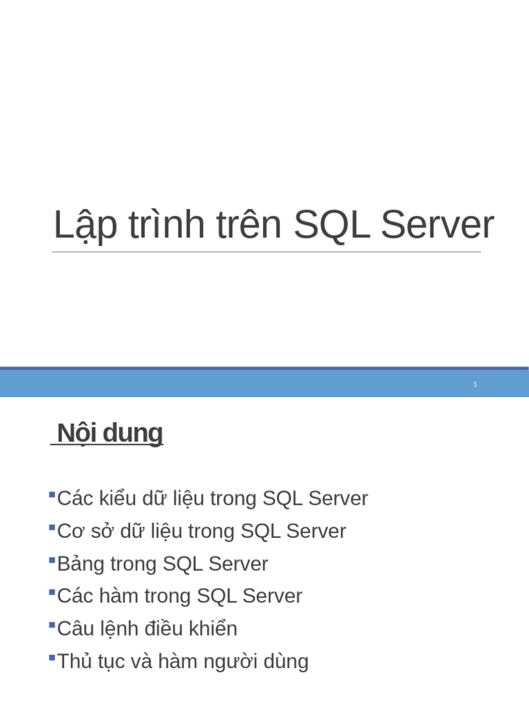 Ch2 - Lap Trinh Tren SQL Server - Phan 1 | PDF