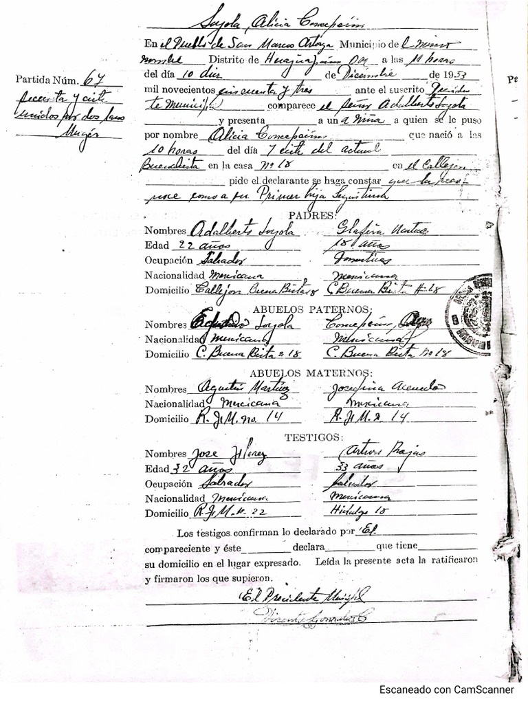 Copia Fiel Alicia Concepción | PDF