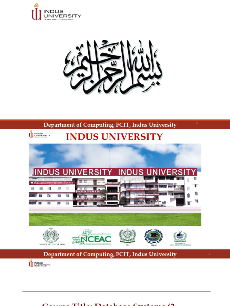 Preview File1 | PDF | Databases | Database Design