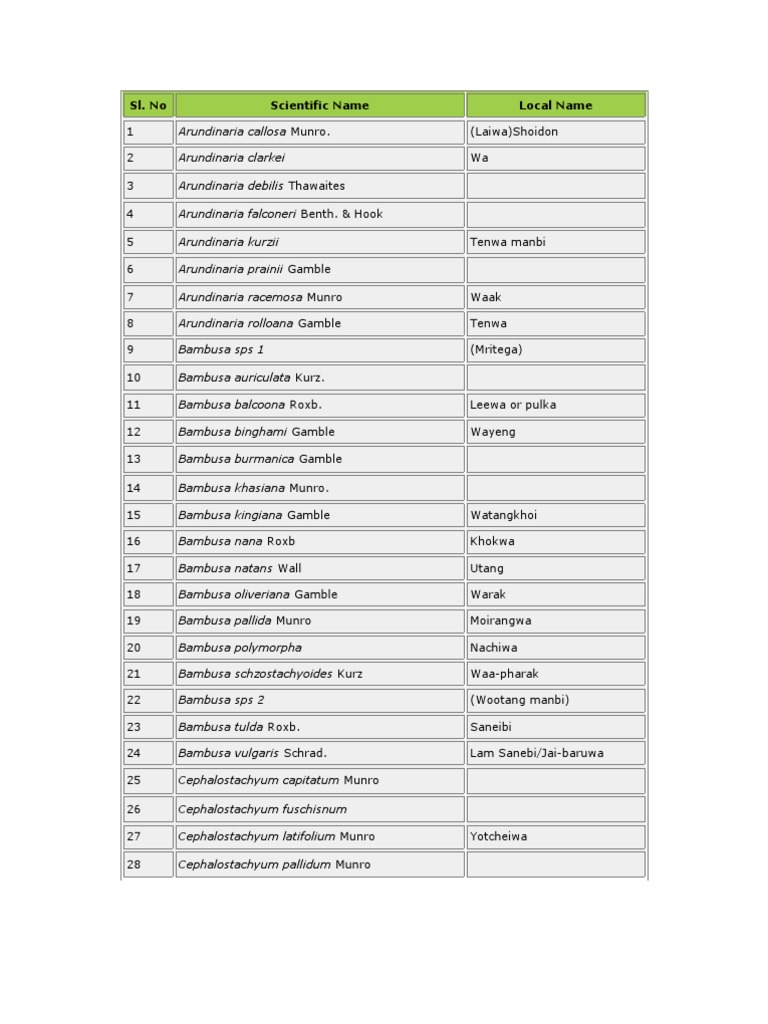 Bamboo Species and Local Names List | PDF