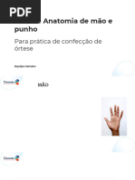 Aula 6 Ossos, Músculos, Inervação e Vascularização Do Punho e Mão | PDF ...