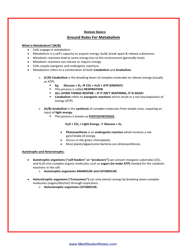 BIOL - 5. Metabolism & Respiration (21p) | PDF | Cellular Respiration ...
