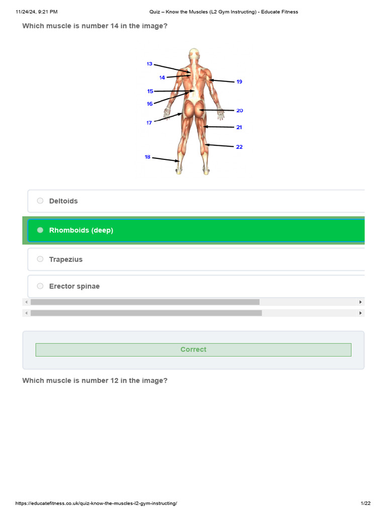 Quiz - Know The Muscles (L2 Gym Instructing) - Educate Fitness | PDF ...