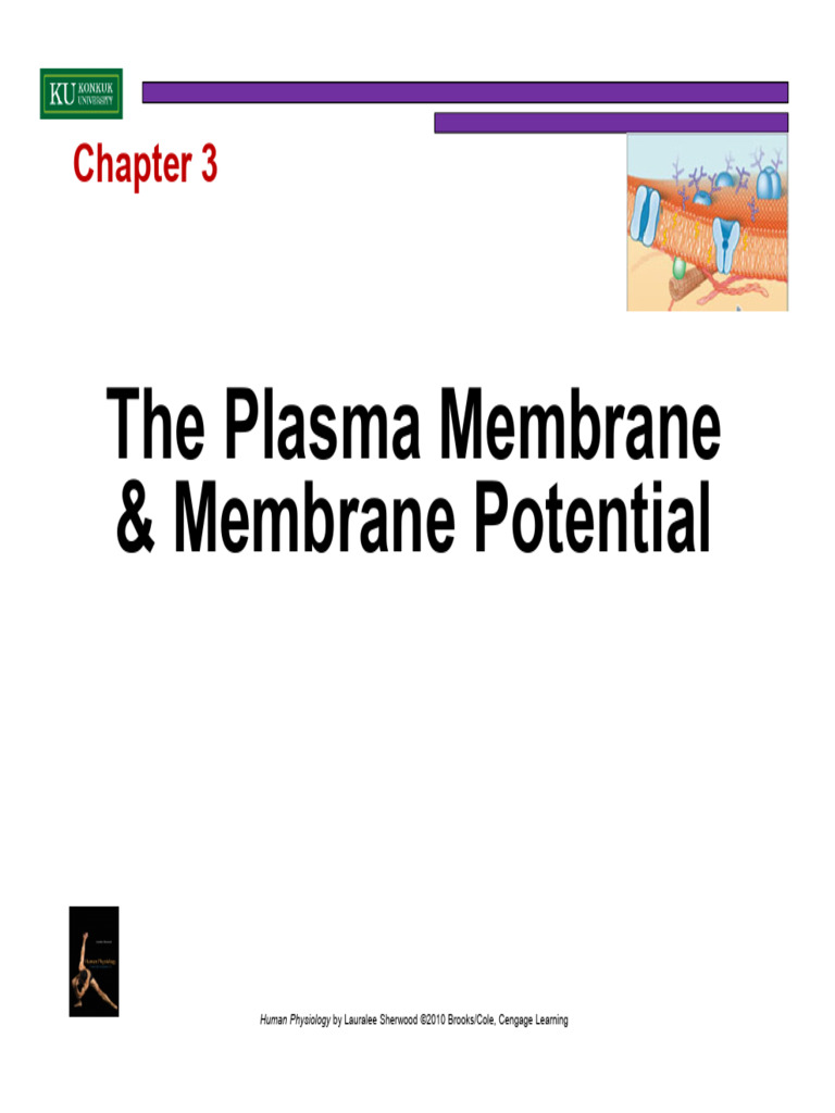 Chapter 3. The Plasma Membrane and Membrane Potential | PDF | Cell ...