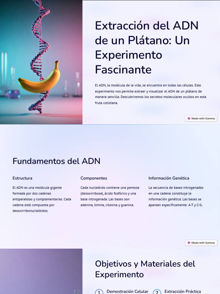 Extraccion Del ADN de Un Platano Un Experimento Fascinante | PDF | Adn | Biología Celular)