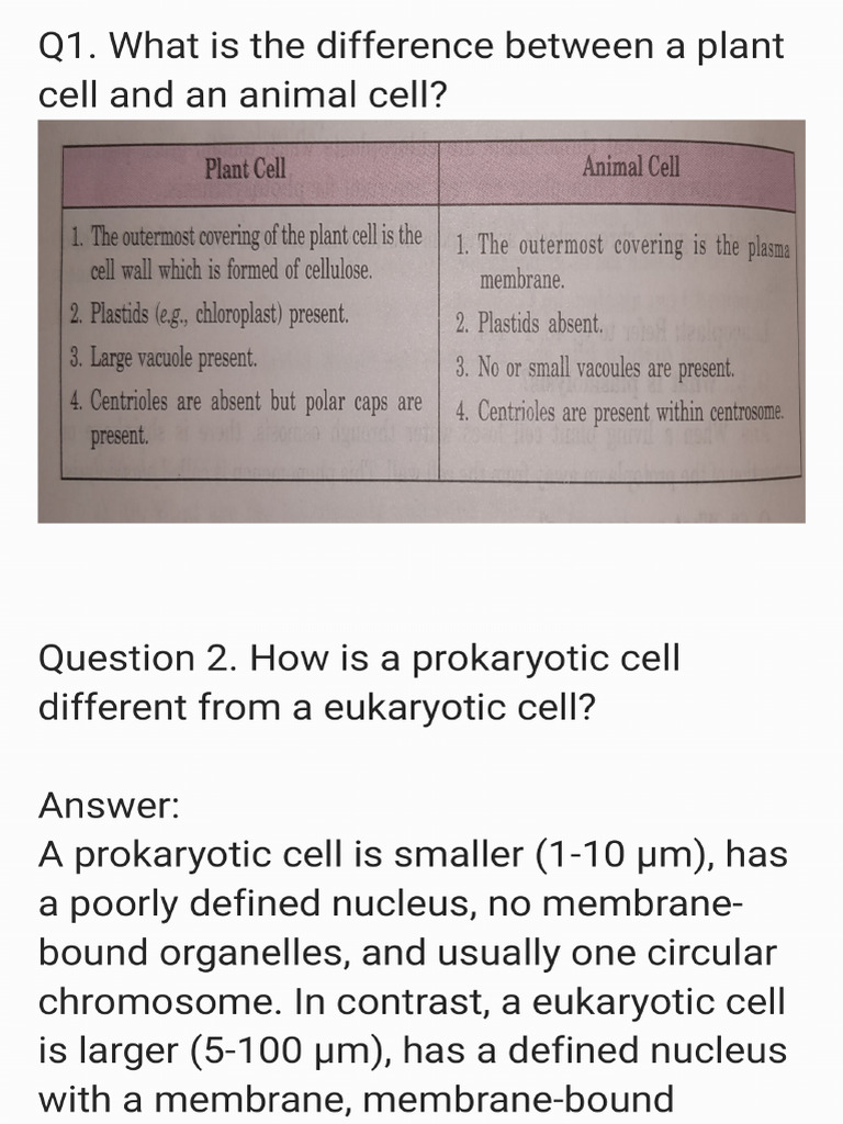 Chapter 5 Science - 241012 - 164844 | PDF