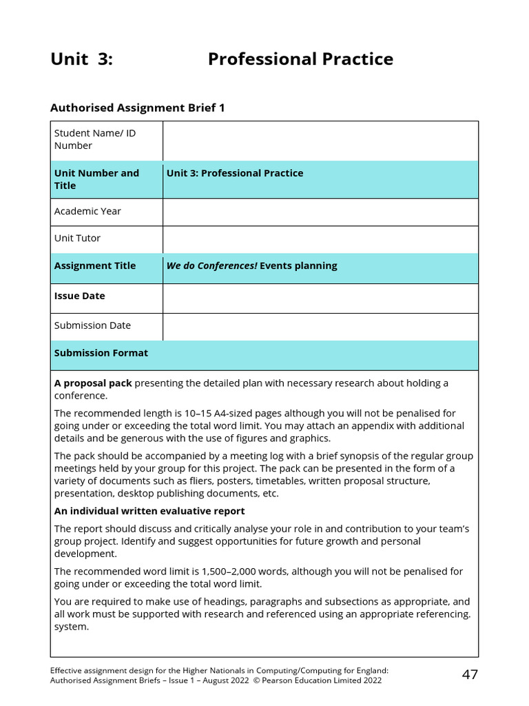 8.professional Practices HND BRIEF | PDF | Critical Thinking | Evaluation