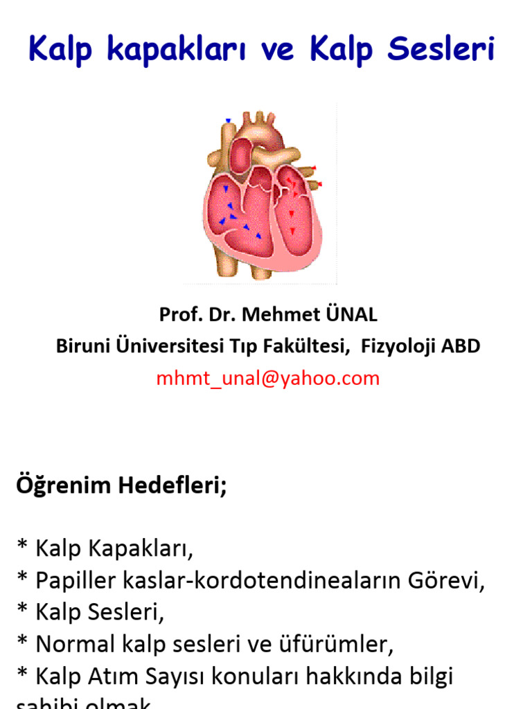 3 KALP KAPAKLARI Ve KALP SESLERİ | PDF