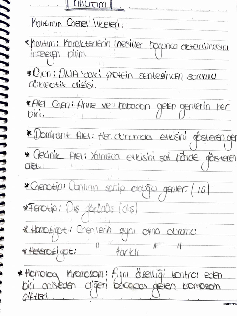 Mendel Ilkeleri | PDF