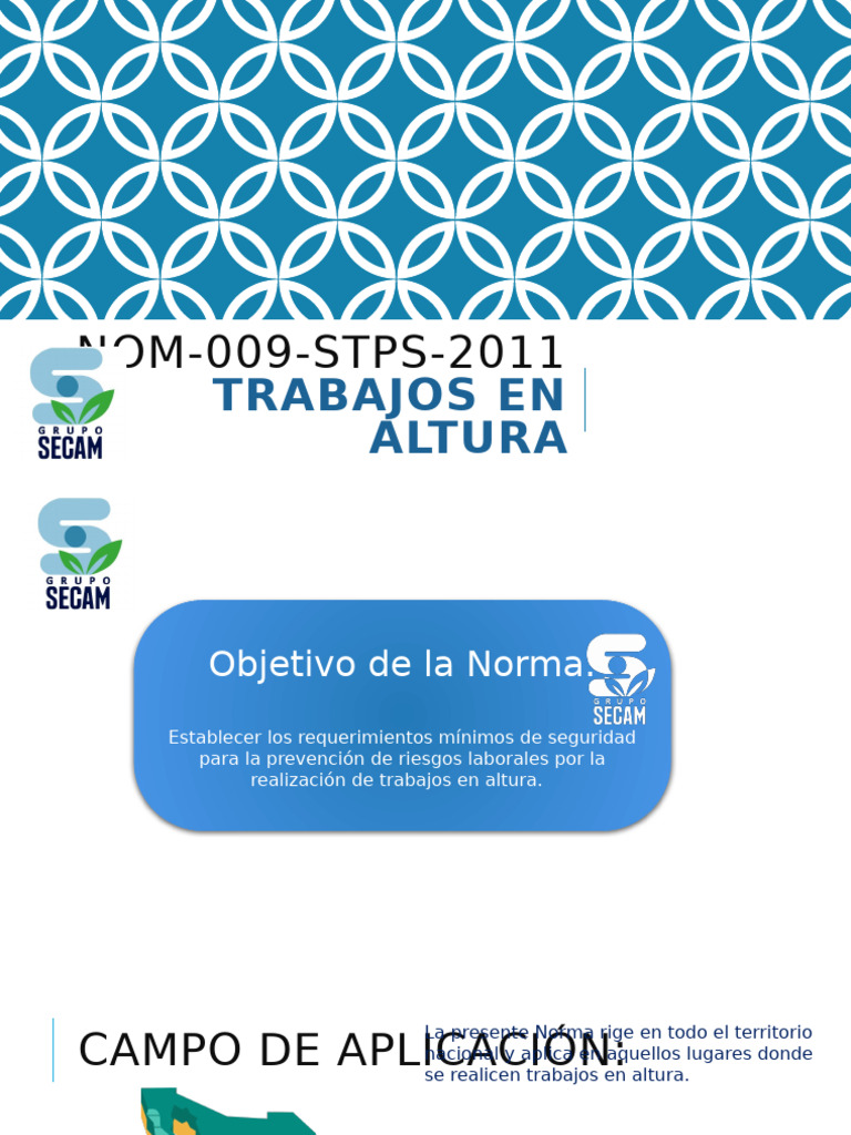 Nom 009 Stps 2011 | PDF