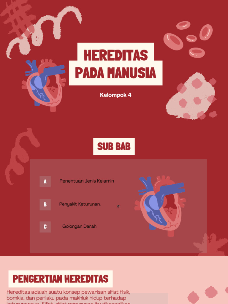 Presentasi Pendidikan Sistem Peredaran Darah Dalam Gaya Bertekstur ...