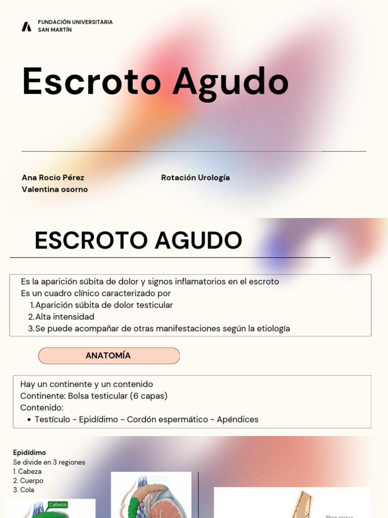 Escroto Agudo | PDF | Enfermedades y trastornos | Especialidades Medicas