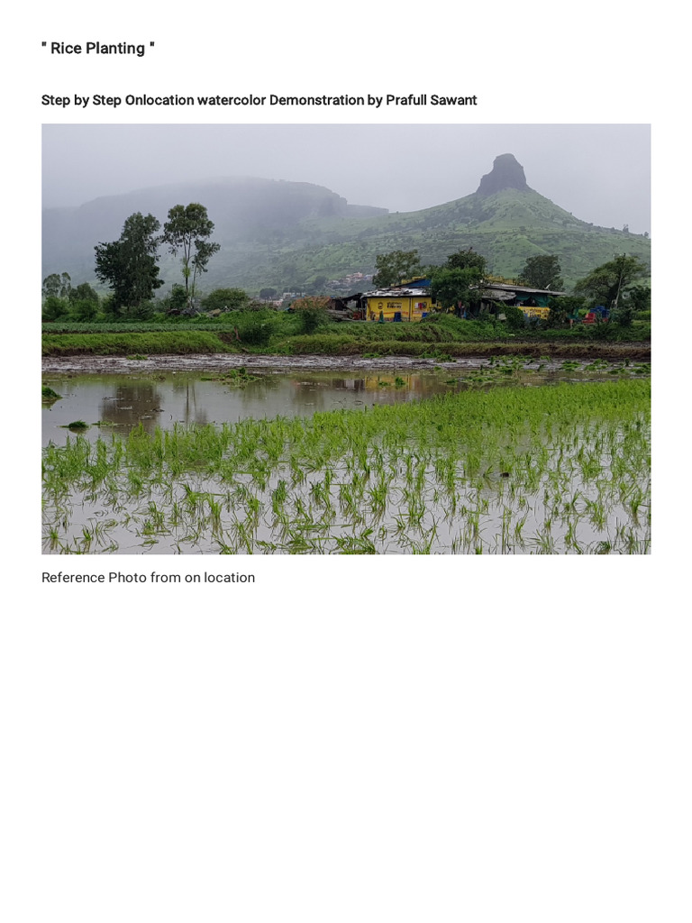 Rice Planting - Step by Step High Defination Images | PDF