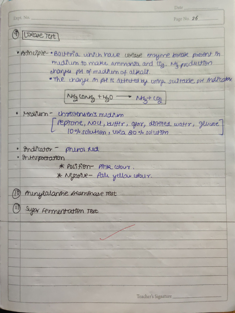 Microbiology File Mbbs 2nd Year | PDF