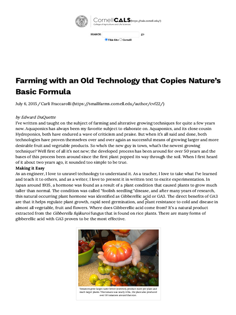 Farming With An Old Technology That Copies Nature's Basic Formula ...