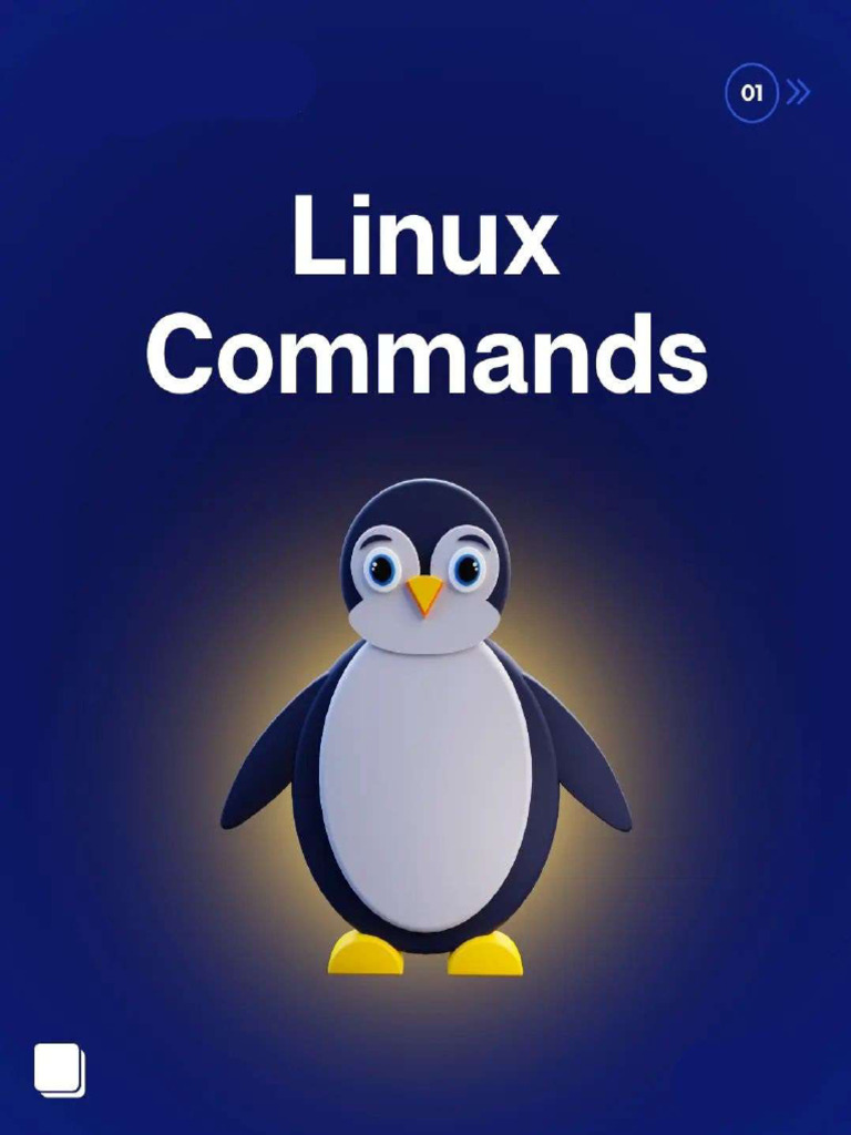 Linux Basic Command | PDF