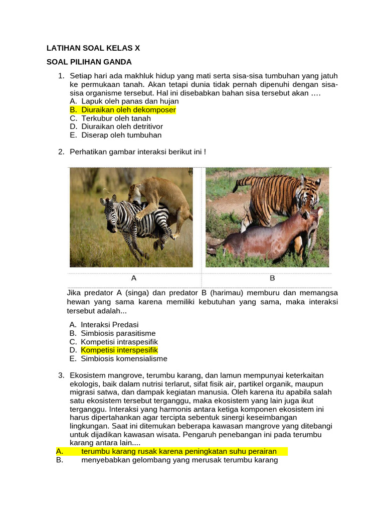Soal Biologi Kelas X | PDF
