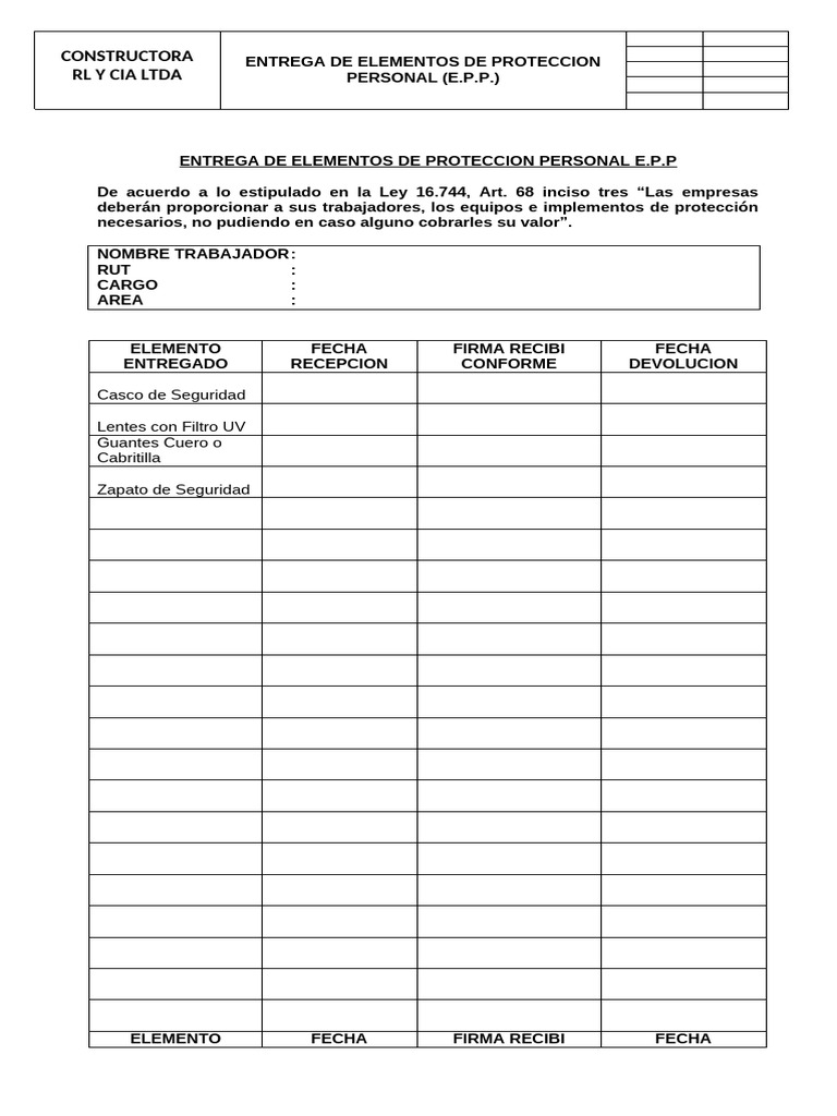 Formato Entrega EPP | PDF