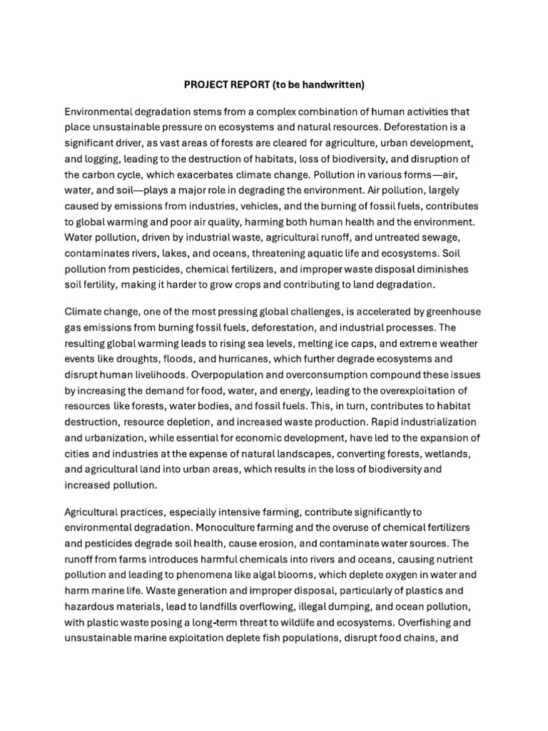 Project Report (1000 Words Essay) - Firdaus | PDF