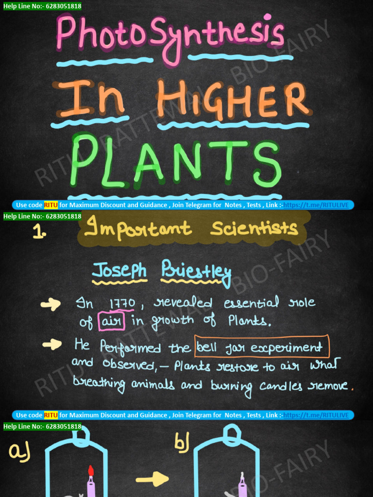 NEET MCQs on Photosynthesis | PDF | Photosynthesis | Chloroplast