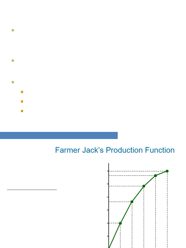Lecture16 | PDF | Production Function | Economics