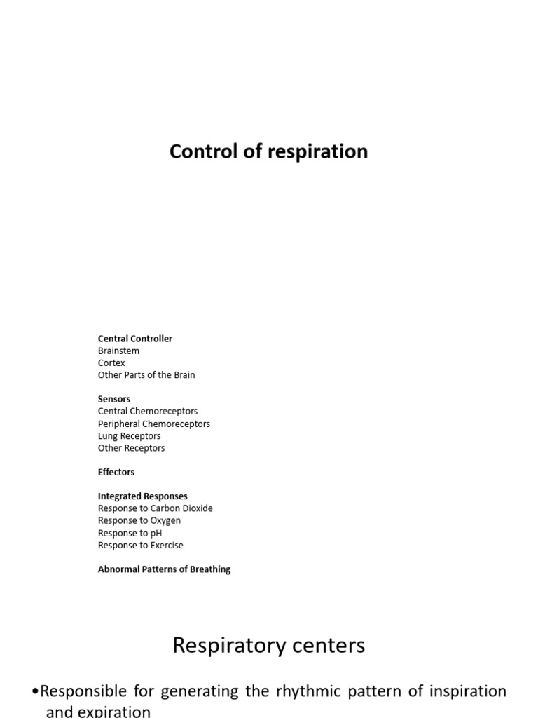 Control of Respiration | PDF | Breathing | Exhalation