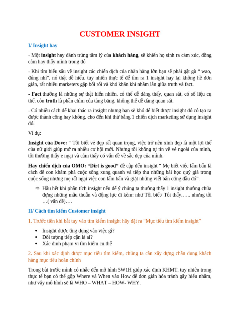 Customer Insight | PDF