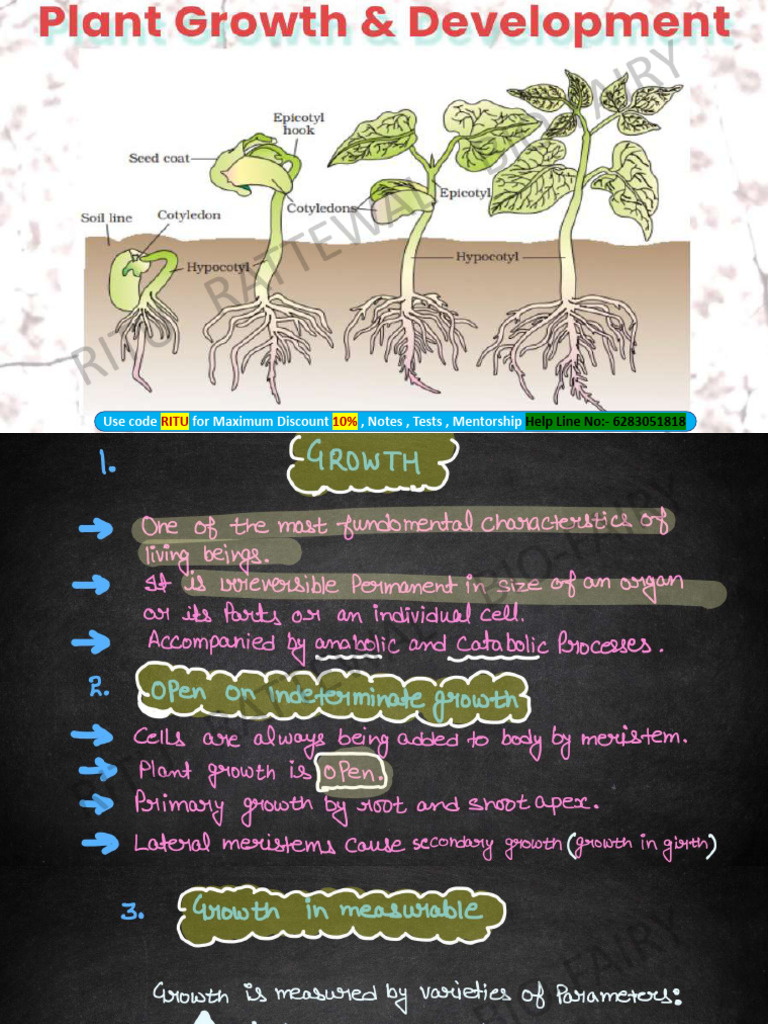Plant Growth and Development HAND WRITTEN NOTES + PYQ Compressed | PDF ...