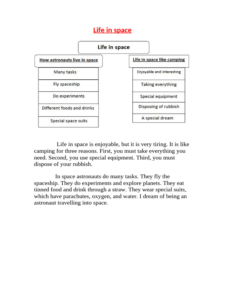 Lis Life in Space | PDF