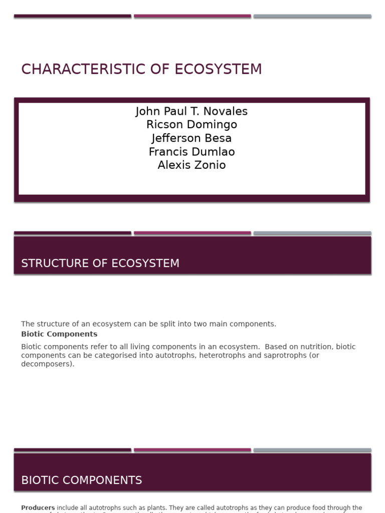 Ecosystem Structure & Energy Flow | PDF | Atmosphere Of Earth | Stratosphere