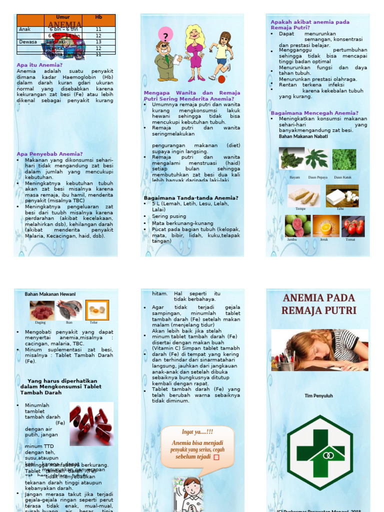 Ilide - Info Leaflet Anemia Pada Remaja Putri PR | PDF