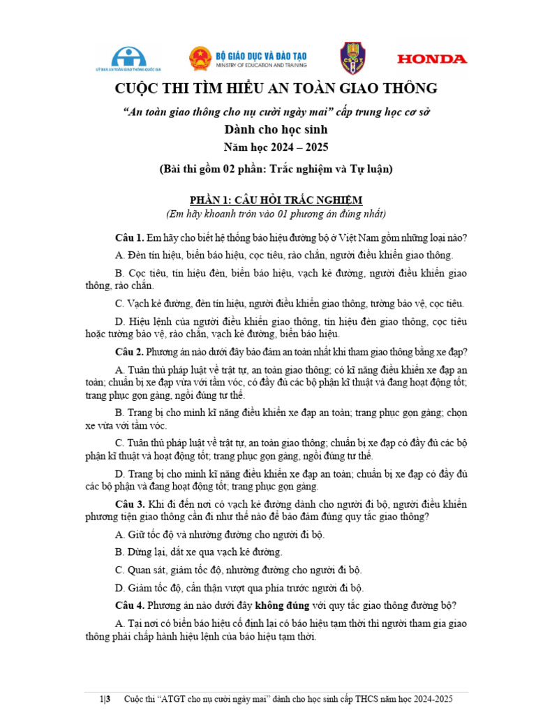 Đề Thi Hs Thcs 2024-2025 | PDF