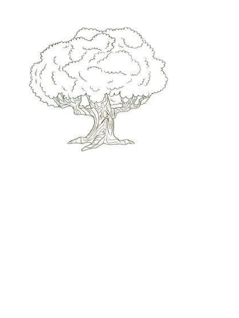 Pohon | PDF